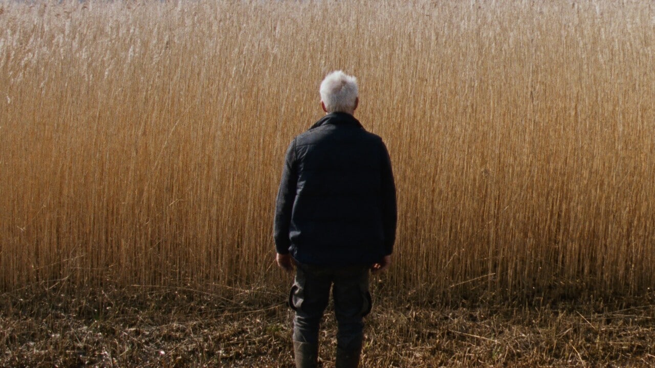 Rietland - Release, E-Ticket, Trailer - Pathé Nederland-bioscopen